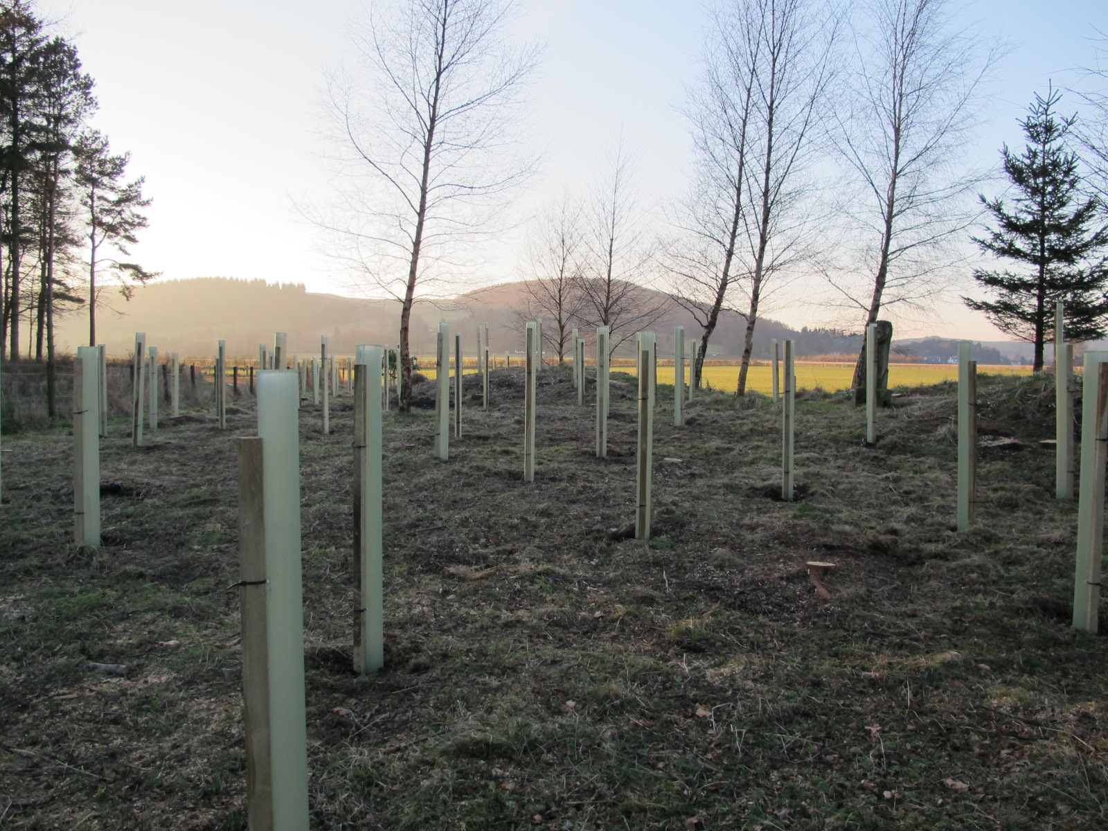 Commercial Services :: Frontier Forestry