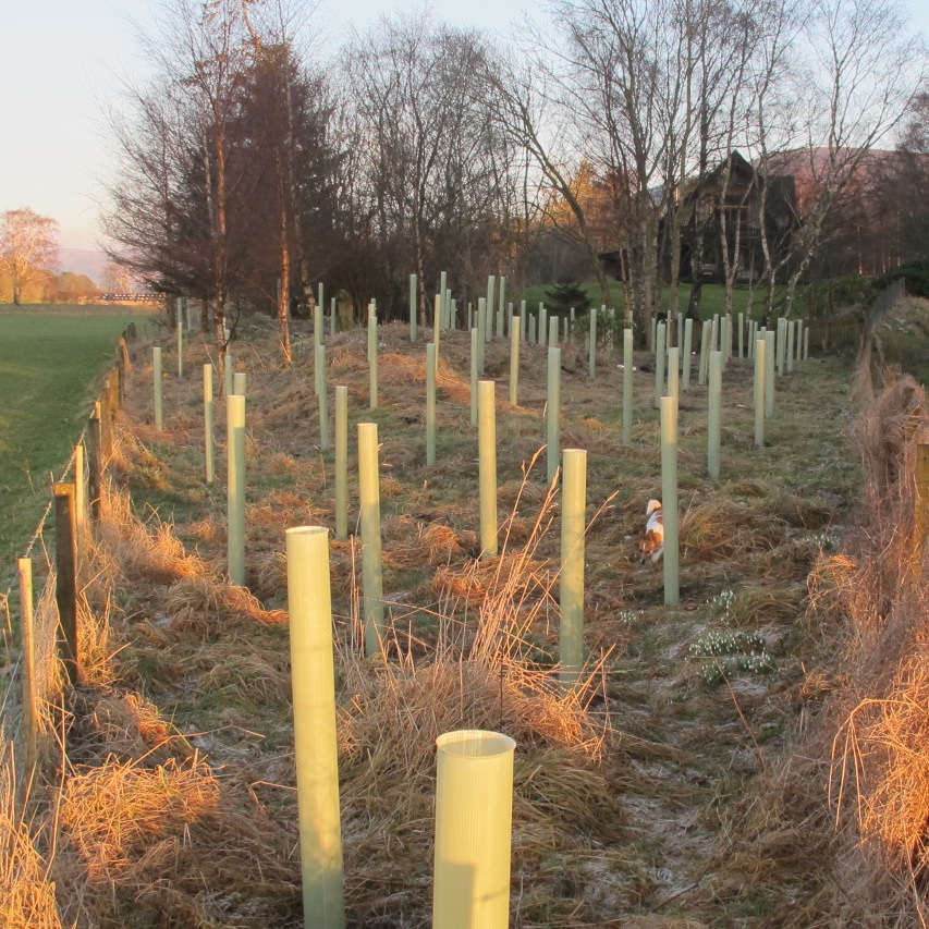Residential Services :: Frontier Forestry