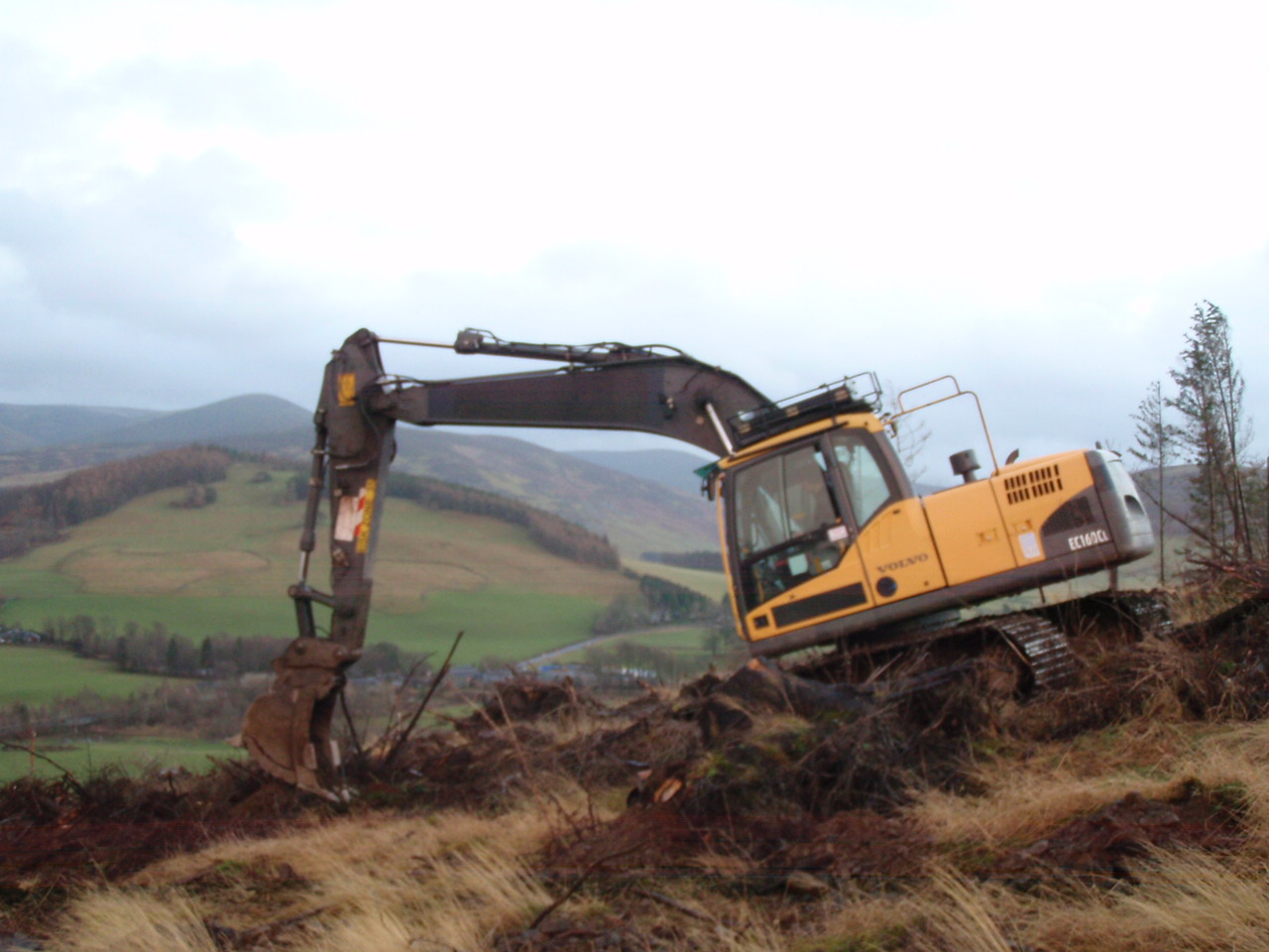 Trench Mounding :: Frontier Forestry